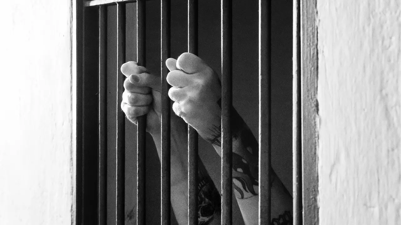 The Fear Experience: 30 Metaphors for Fear - Inglishe